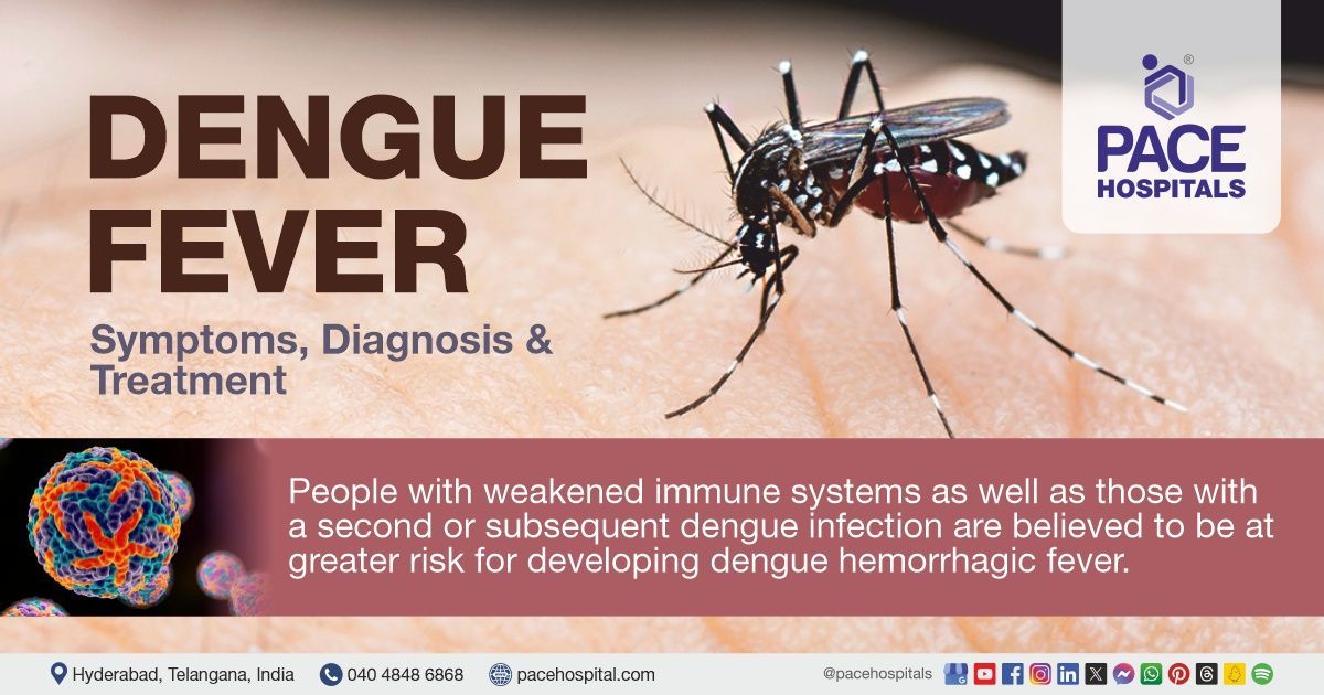 Dengue Fever Symptoms Causes Diagnosis and Treatment